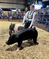 Martin County Fair 2026, Stuart, FL
